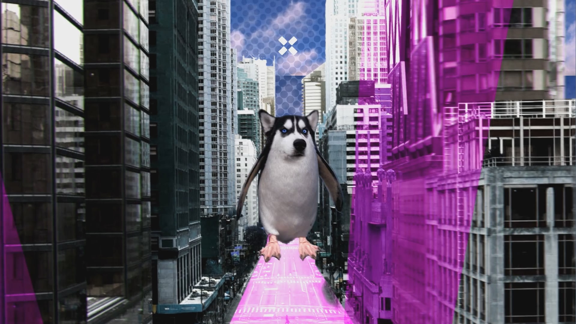 Stylised 2D Animation & Motion Graphics Animation // 'The Noise'